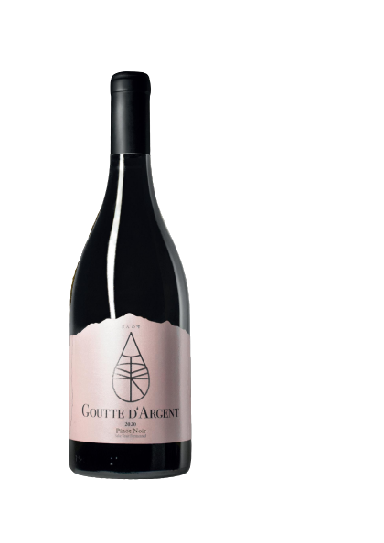 Goutte D'Argent Pinot Noir 2022 – Latin Wines Online